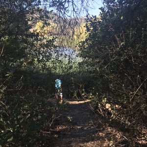 DALEY RANCH - 401 Photos & 94 Reviews - Hiking - 3024 La Honda Dr ...