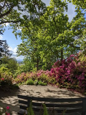 HENDRICKS PARK - Updated December 2025 - 116 Photos & 38 Reviews ...