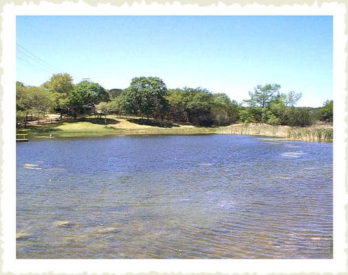 RODDY TREE RANCH - Updated December 2025 - 35 Photos & 13 Reviews - 820 ...