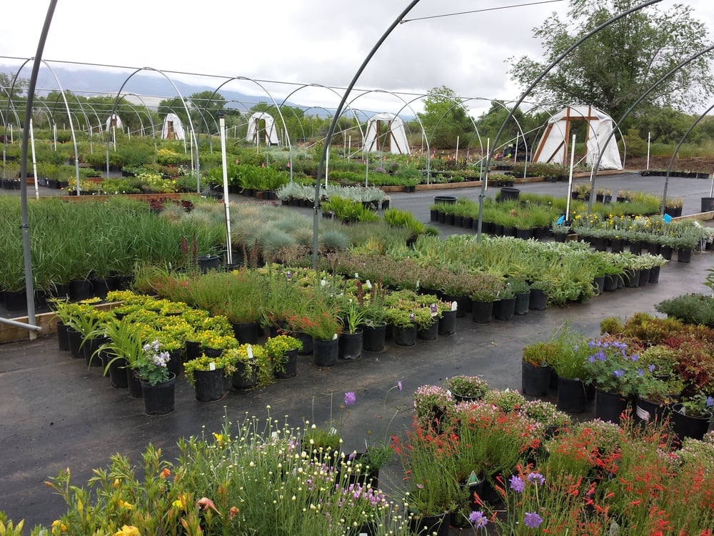 CHELSEA NURSERY - Updated December 2025 - 3347 G Rd, Clifton, Colorado ...