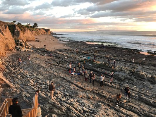 SHELL BEACH PARK AT BEACHCOMBER | 117 Photos - 187 Beachcomber Dr ...