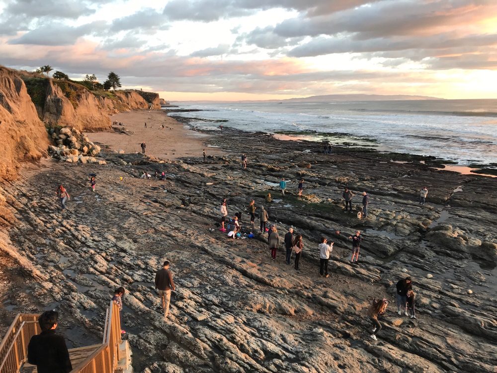 SHELL BEACH PARK AT BEACHCOMBER - 116 Photos - Beaches - 187 ...