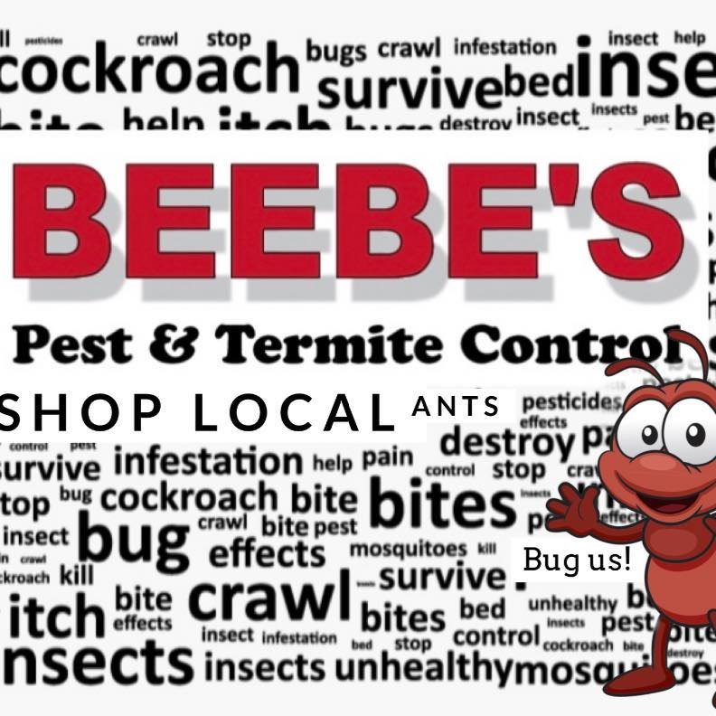 BEBE’S PEST AND TERMITE CONTROL - Updated July 2025 - 9251 Raton Ave ...