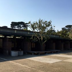 SAN FRANCISCO COUNTY FAIR BUILDING - 82 Photos - 9TH Ave And Lincoln ...