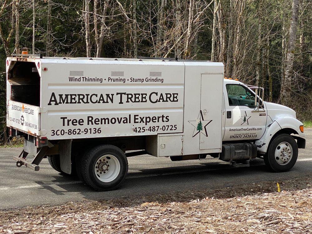 AMERICAN TREE CARE - Updated March 2025 - 15 Photos & 19 Reviews ...