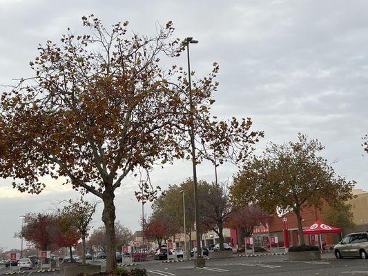 TARGET - Updated December 2025 - 115 Photos & 160 Reviews - 1925 ...