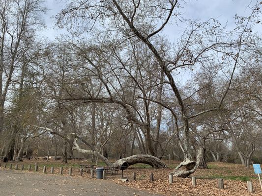 BIDDLE REGIONAL PARK - Updated June 2025 - 22 Photos - 3500 Lopez Dr ...
