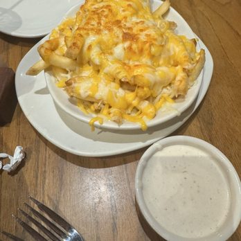 OUTBACK STEAKHOUSE - Updated October 2025 - 452 Photos & 485 Reviews ...