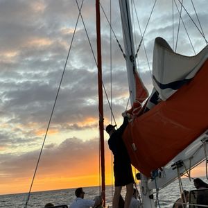 CAPTAIN ZODIAC - Updated September 2024 - 226 Photos & 429 Reviews - 74 ...