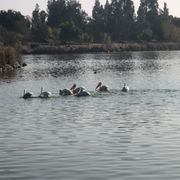 LAKE CUNNINGHAM PARK - 338 Photos & 97 Reviews - 2305 S White Rd, San ...