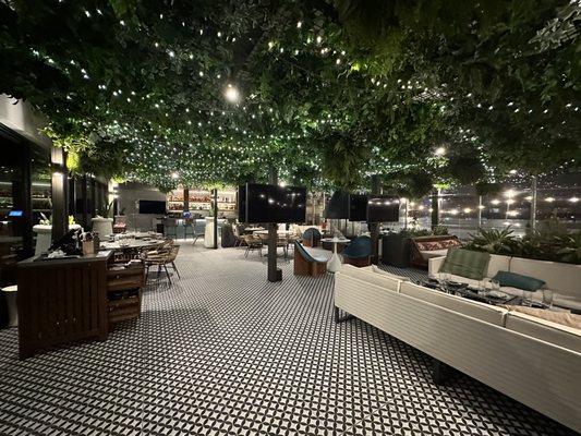 CATBIRD - Updated December 2024 - 646 Photos & 350 Reviews - 1401 Elm ...