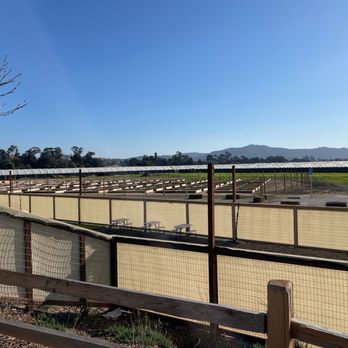SLO RANCH FARMS - Updated July 2025 - 295 Photos & 27 Reviews - 871 ...
