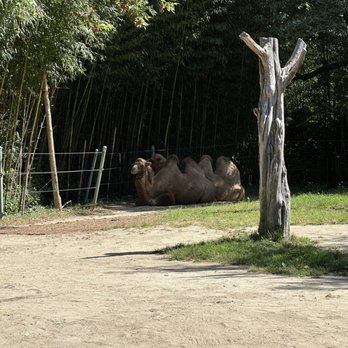 ROGER WILLIAMS PARK ZOO - Updated July 2025 - 1339 Photos & 308 Reviews ...