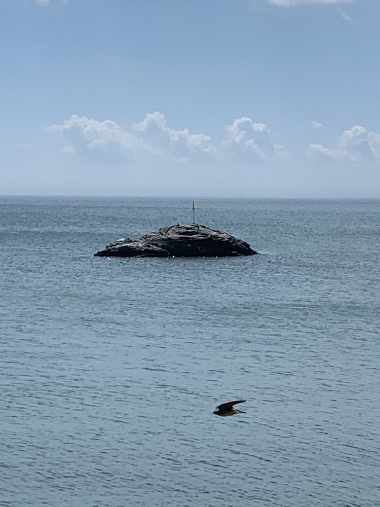 NIANTIC BAY BOARDWALK - 90 Photos & 10 Reviews - 30 Main St, Niantic ...