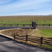 DYNAMIS ESTATE WINES - 14 Photos - 1004 Highland Rd, Jonesville, North ...