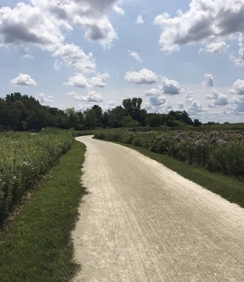SPRINGBROOK PRAIRIE FOREST PRESERVE - 121 Photos & 34 Reviews - 83RD ...