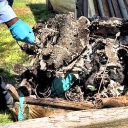 BERRETT PEST CONTROL - 25 Photos & 124 Reviews - Pest Control - 14173 ...