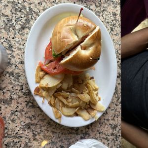 SAMMY’S BULLFROG CAFE - Updated May 2024 - 90 Photos & 169 Reviews ...