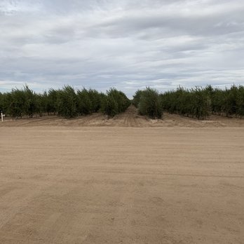QUEEN CREEK OLIVE MILL - Updated June 2024 - 1281 Photos & 1189 Reviews ...