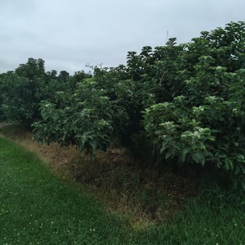 HOLMBERG ORCHARDS - Updated October 2025 - 239 Photos & 93 Reviews - 12 ...