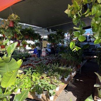 SPRING VALLEY SWAP MEET - Updated December 2025 - 440 Photos & 199 ...