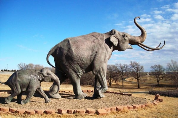 LUBBOCK LAKE LANDMARK - Updated December 2025 - 14 Photos - 2401 ...