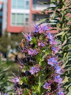 UCSF MEDICAL CENTER AT MISSION BAY - Updated October 2025 - 124 Photos ...