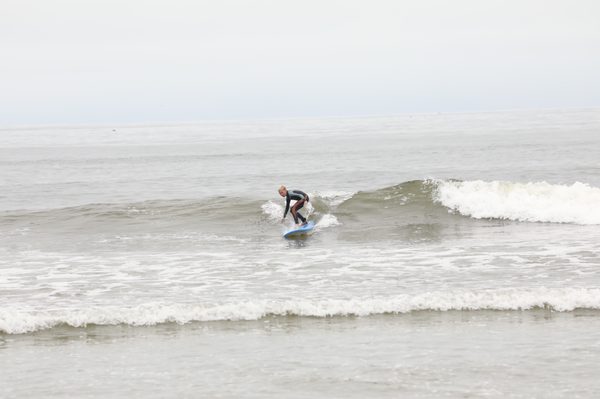 SHELL BEACH SURF SHOP - Updated September 2024 - 42 Photos & 74 Reviews ...