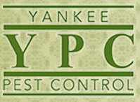 YANKEE PEST CONTROL - Updated October 2025 - 27 Photos & 39 Reviews ...