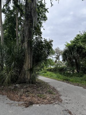 MANATEE HAMMOCK CAMPGROUND - Updated December 2025 - 50 Photos & 41 ...