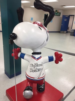 CHARLES M. SCHULZ - HIGHLAND ARENA - Skating Rinks - 800 Snelling Ave S ...