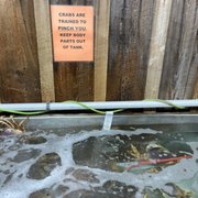 BUCK BAY SHELLFISH FARM - 291 Photos & 172 Reviews - 117 Ej Young Rd ...