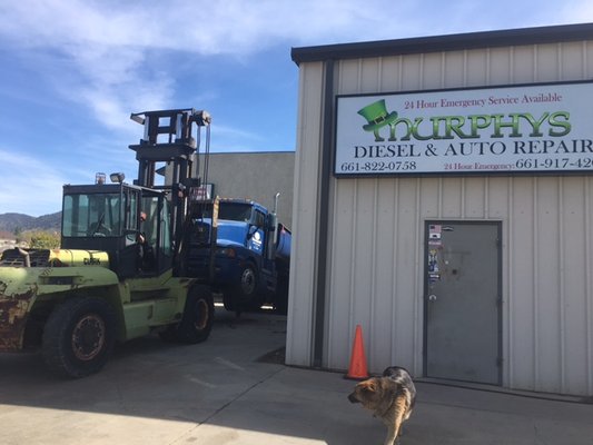 MURPHYS DIESEL & AUTO REPAIR - Updated May 2026 - 43 Photos & 52 ...