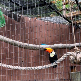 BRANDYWINE ZOO - Updated September 2025 - 178 Photos & 71 Reviews ...