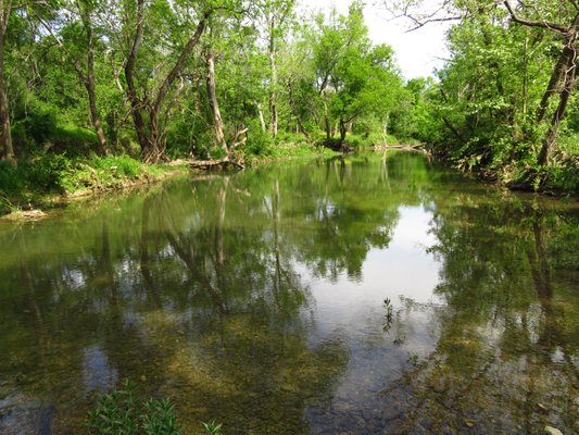 Berry Springs Park And Preserve - 44 Photos & 11 Reviews - Parks - 1801 ...