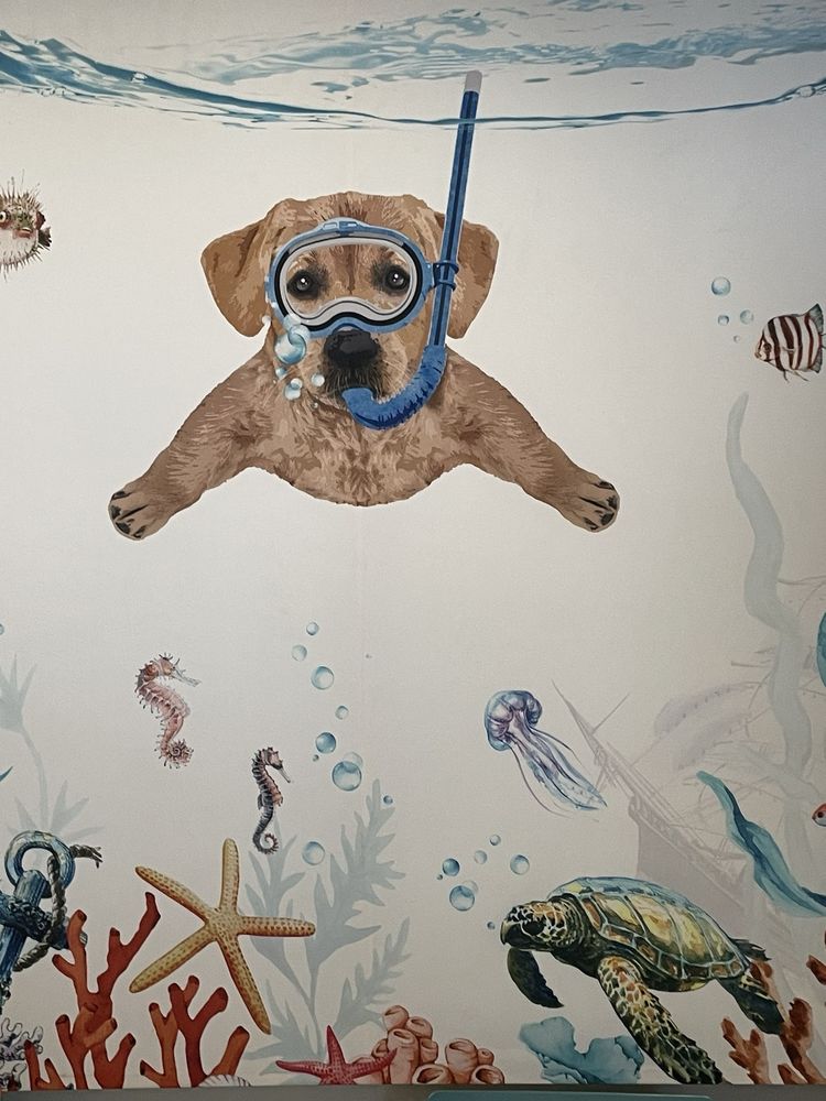 SUNCOAST HUMANE SOCIETY - Updated December 2025 - 13 Photos & 21 ...