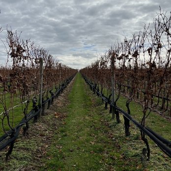 ROSE HILL VINEYARDS - Updated October 2025 - 534 Photos & 308 Reviews ...