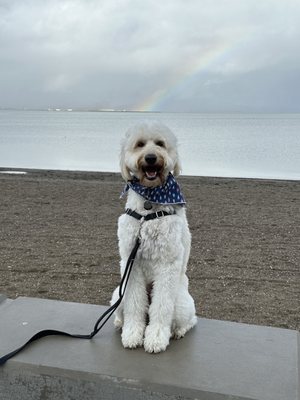 COYOTE POINT RECREATION AREA - Updated November 2024 - 640 Photos & 234 ...