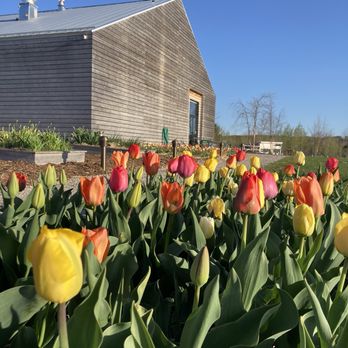 FARM CLUB - Updated April 2025 - 319 Photos & 151 Reviews - 10051 S ...