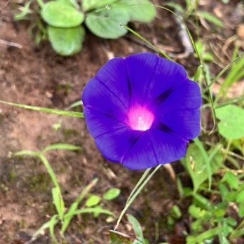 MEEKS PARK - Updated October 2025 - 63 Photos & 25 Reviews - 490 Meeks ...