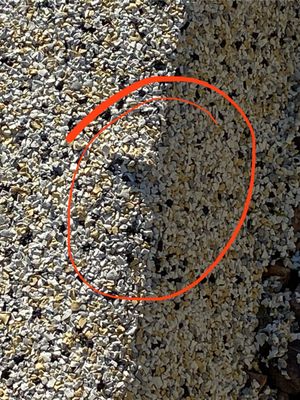 RUBBER STONE AZ - Updated December 2025 - 88 Photos & 44 Reviews ...