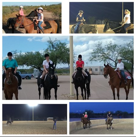 ARIZONA’S ALL AROUND HORSES - Updated May 2024 - Phoenix, Arizona ...