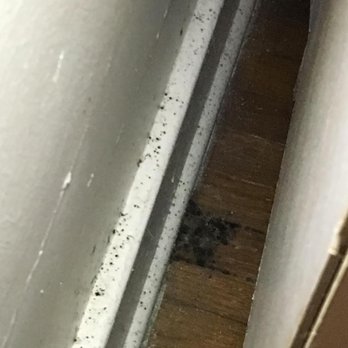 DRYMASTER RESTORATION - Updated December 2025 - 92 Photos & 31 Reviews - 2250 Fair Park Ave, Los ...