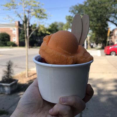 BELLA’S ICES & ICE CREAM - 450 Photos & 322 Reviews - Ice Cream ...