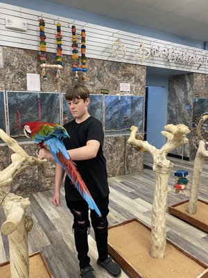 TODD MARCUS BIRDS EXOTIC - Updated July 2025 - 162 Photos & 41 Reviews ...