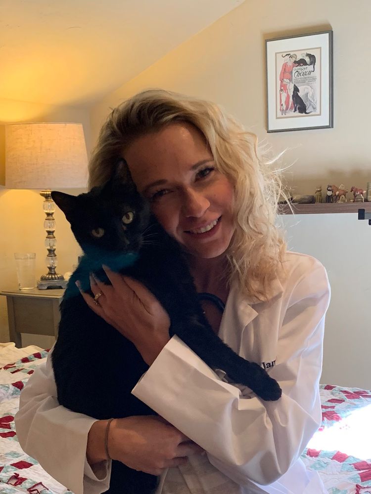 VET JAMIE - Updated September 2025 - Request Consultation - South Lake ...