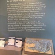 SEACOAST SCIENCE CENTER - 35 Photos & 34 Reviews - 570 Ocean Blvd, Rye ...