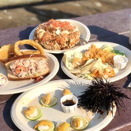 SANTA BARBARA SHELLFISH COMPANY - Updated October 2024 - 6116 Photos ...
