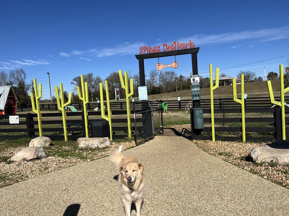 PINEHURST GAS N GO - Updated November 2024 - 33 Photos & 22 Reviews ...