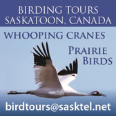 ASSOCIATED CABS - Updated September 2025 - 14 Photos & 138 Reviews ...